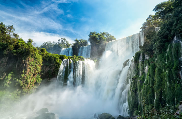 The disruptive cascade effect of digital transformation immaturity