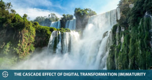 The disruptive cascade effect of digital transformation immaturity